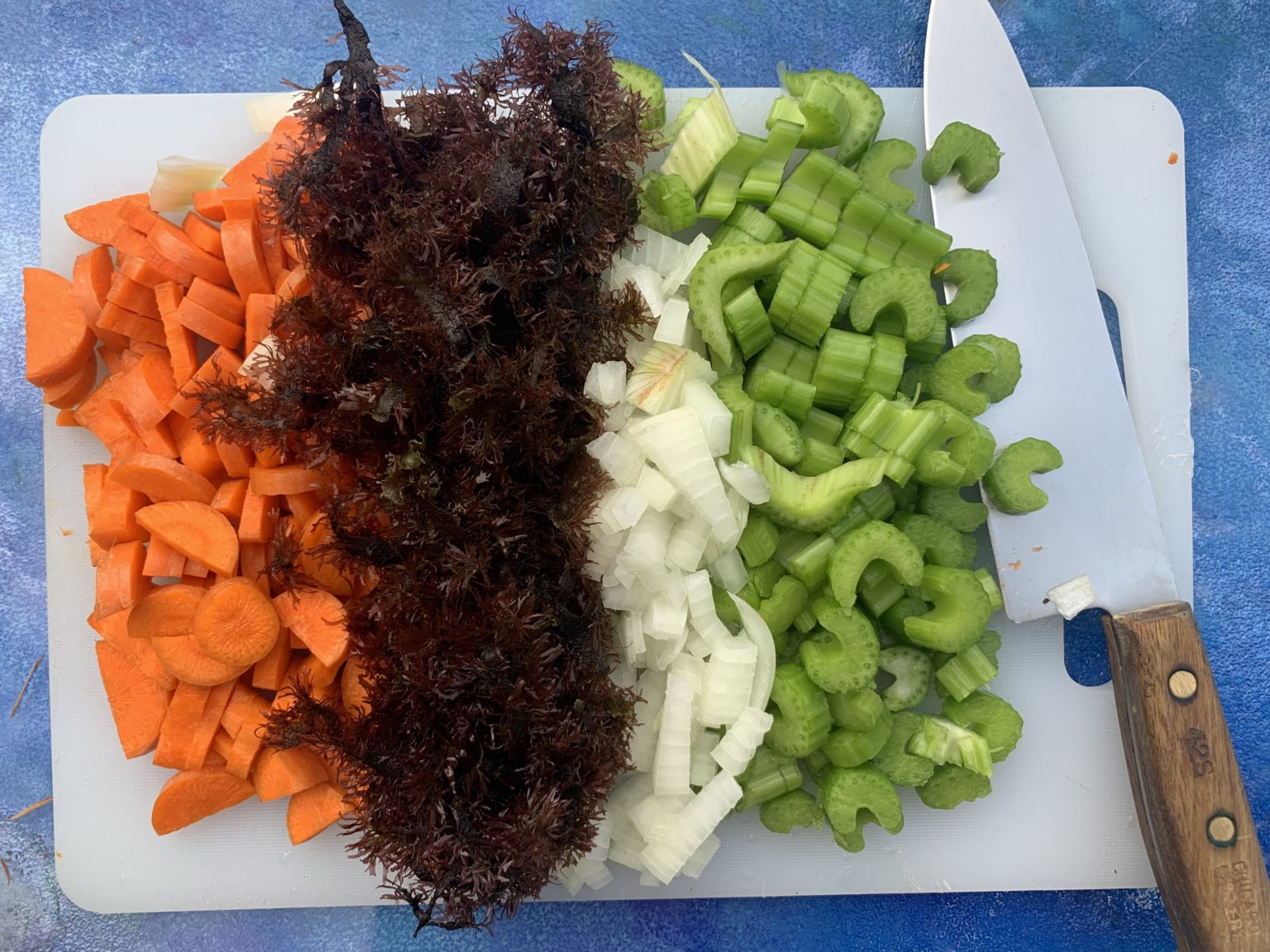 Oregon Seaweed